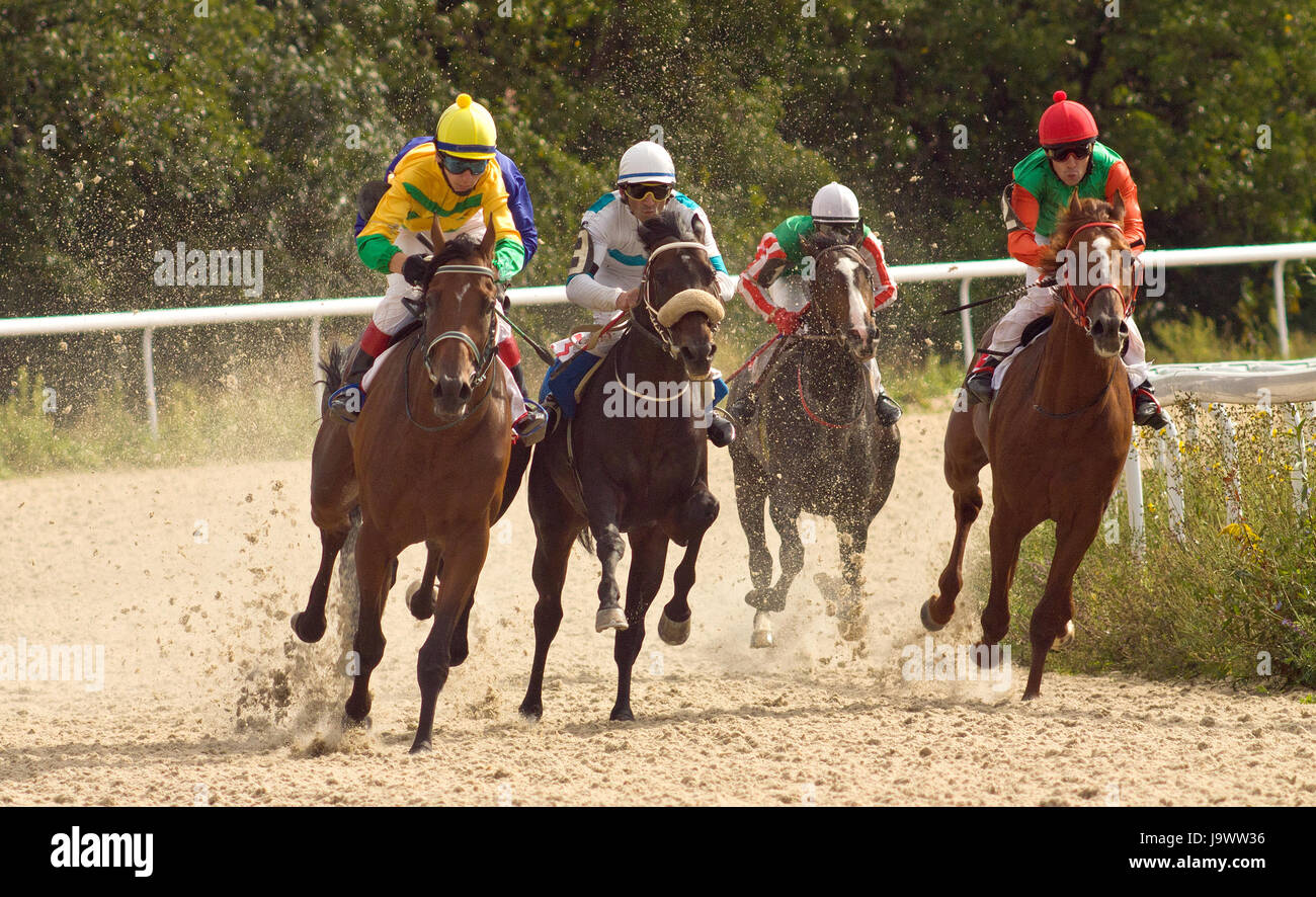 Group riding horse leading hi-res stock photography and images - Alamy