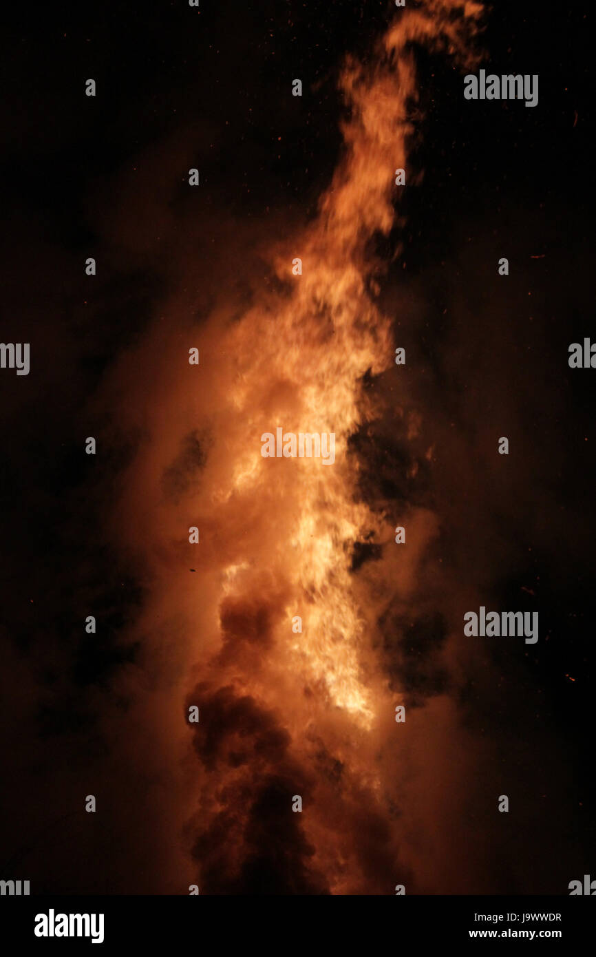 Timber fury hi-res stock photography and images - Alamy