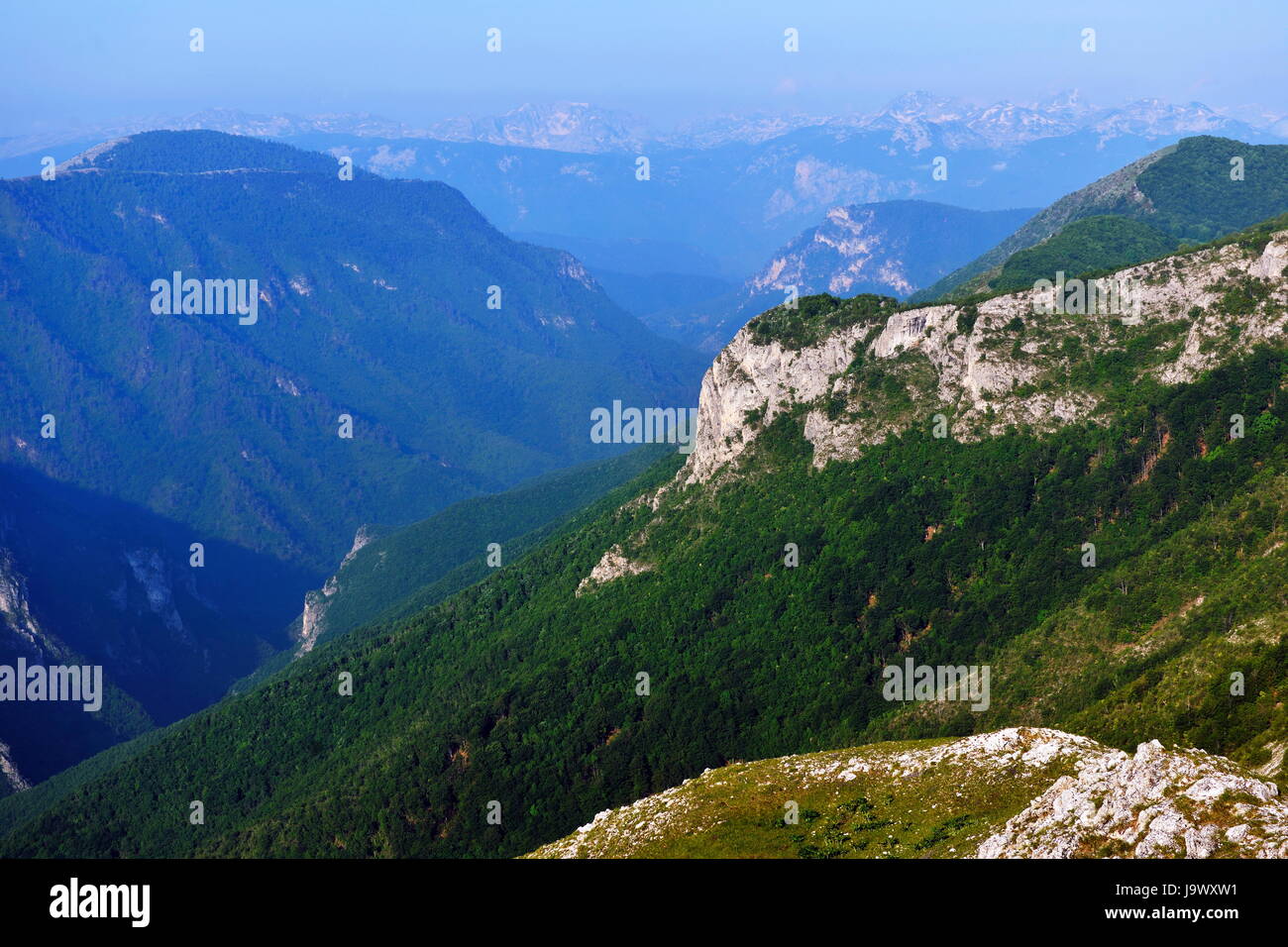 beautiful, beauteously, nice, environment, enviroment, colour, tree ...