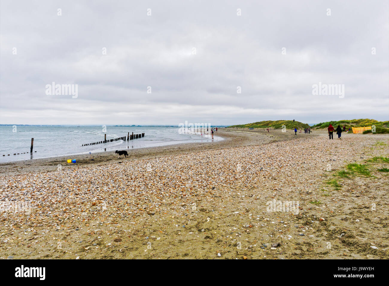 On a cold, windy day people are walking and playing on the beach Stock ...