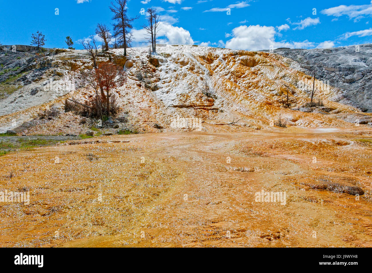 On Minerva Terrace a multi-coloured river of travertine and calcium ...