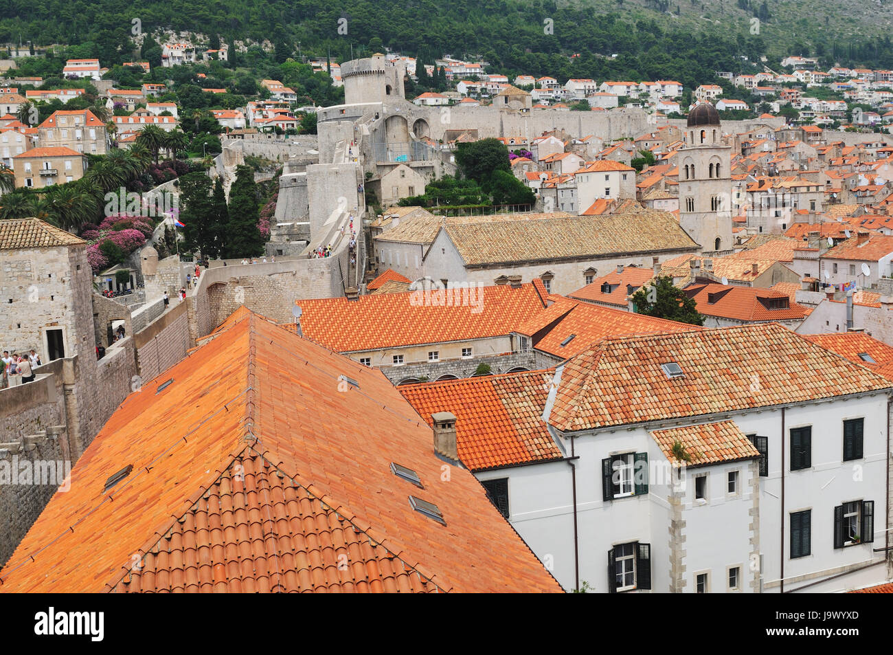 blue, humans, human beings, people, folk, persons, human, human being ...