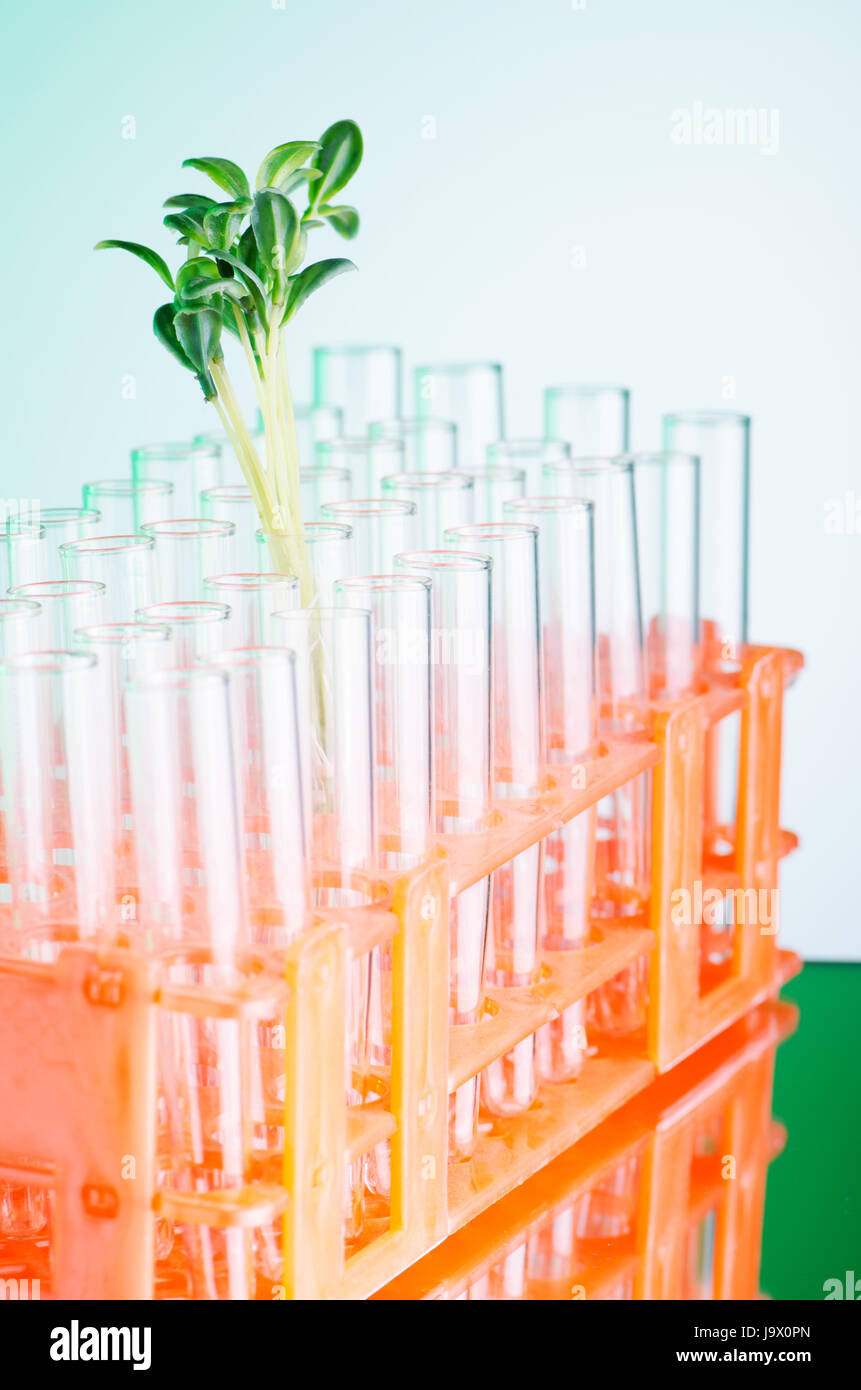 glass, chalice, tumbler, food, aliment, leaf, eco, environment ...