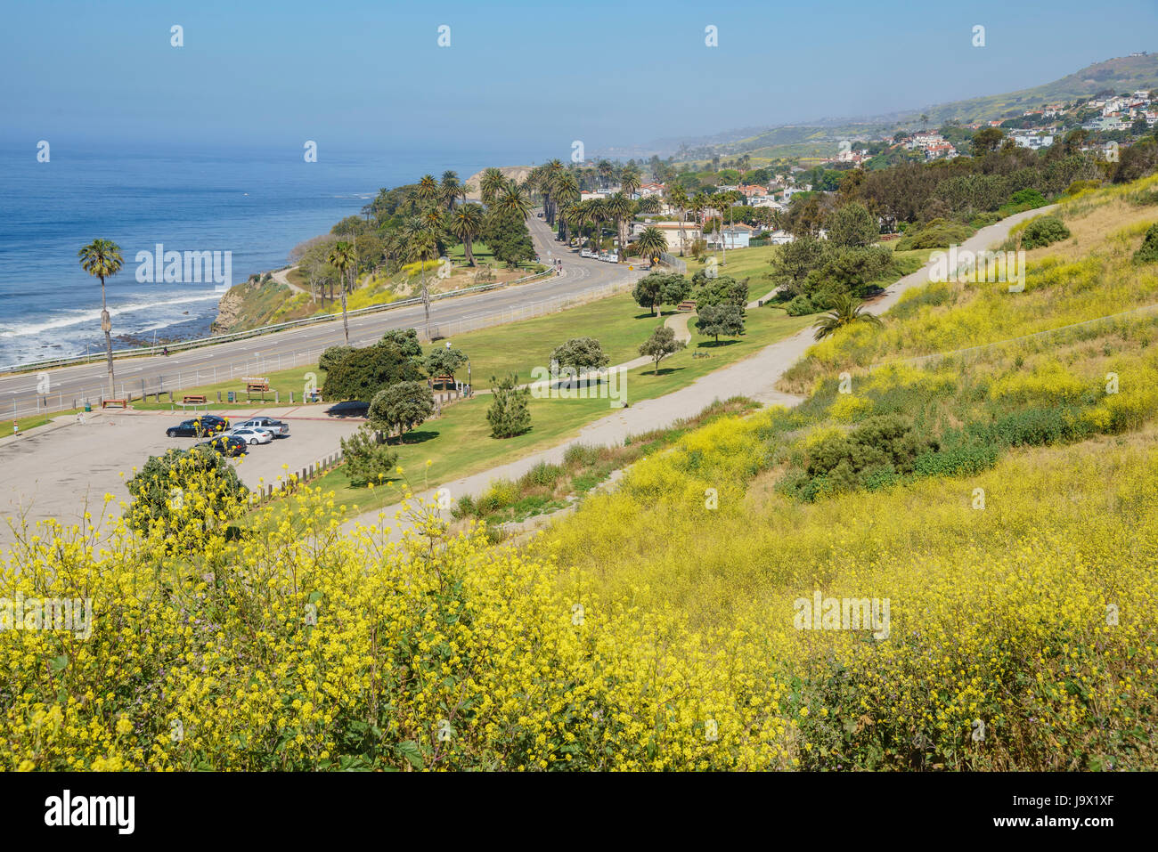 Aerial view of wildflowers blossom and ocean at Angels Gate Park, San ...