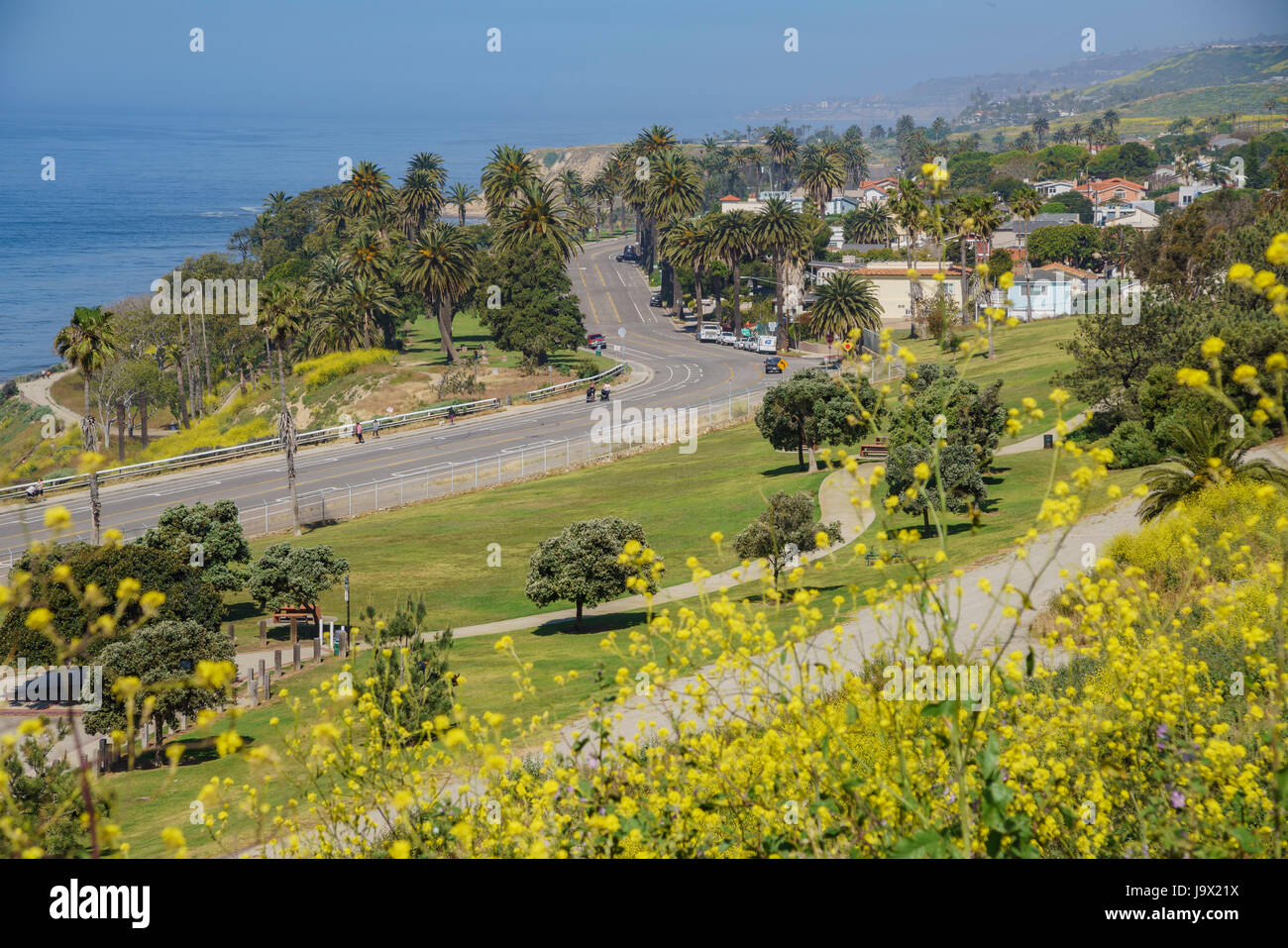 Aerial view of wildflowers blossom and ocean at Angels Gate Park, San ...