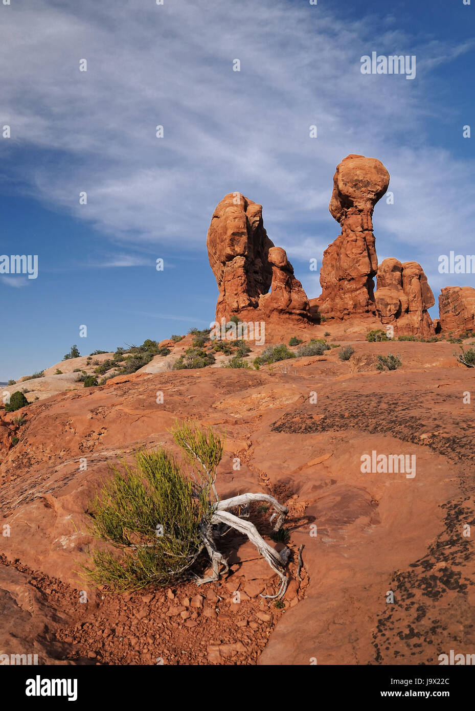 national park, arc, usa, rock, arcs, mountains, park, desert, wasteland ...