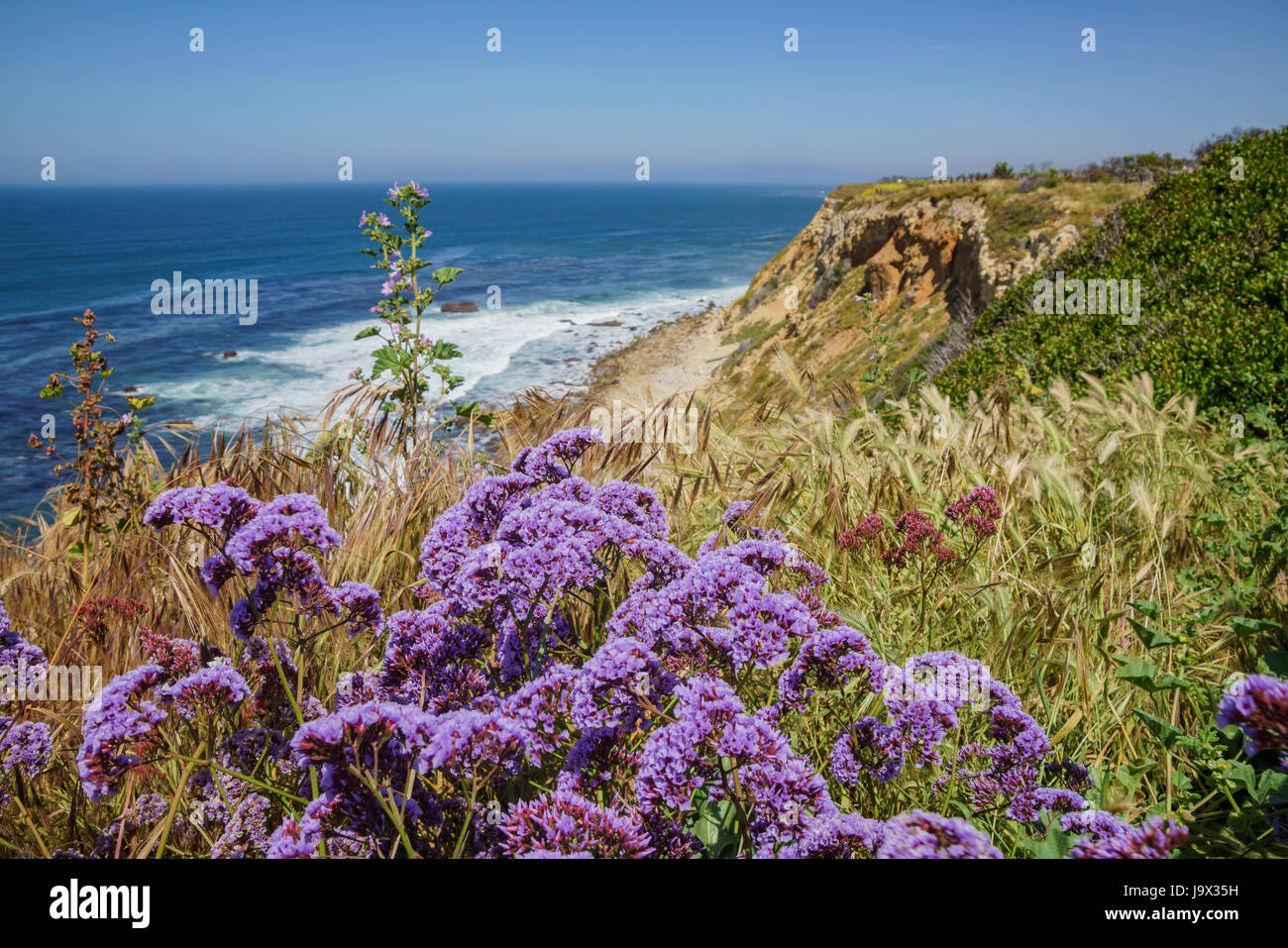 Beautiful afternoon landscape around Point Vicente Lighthouse ...