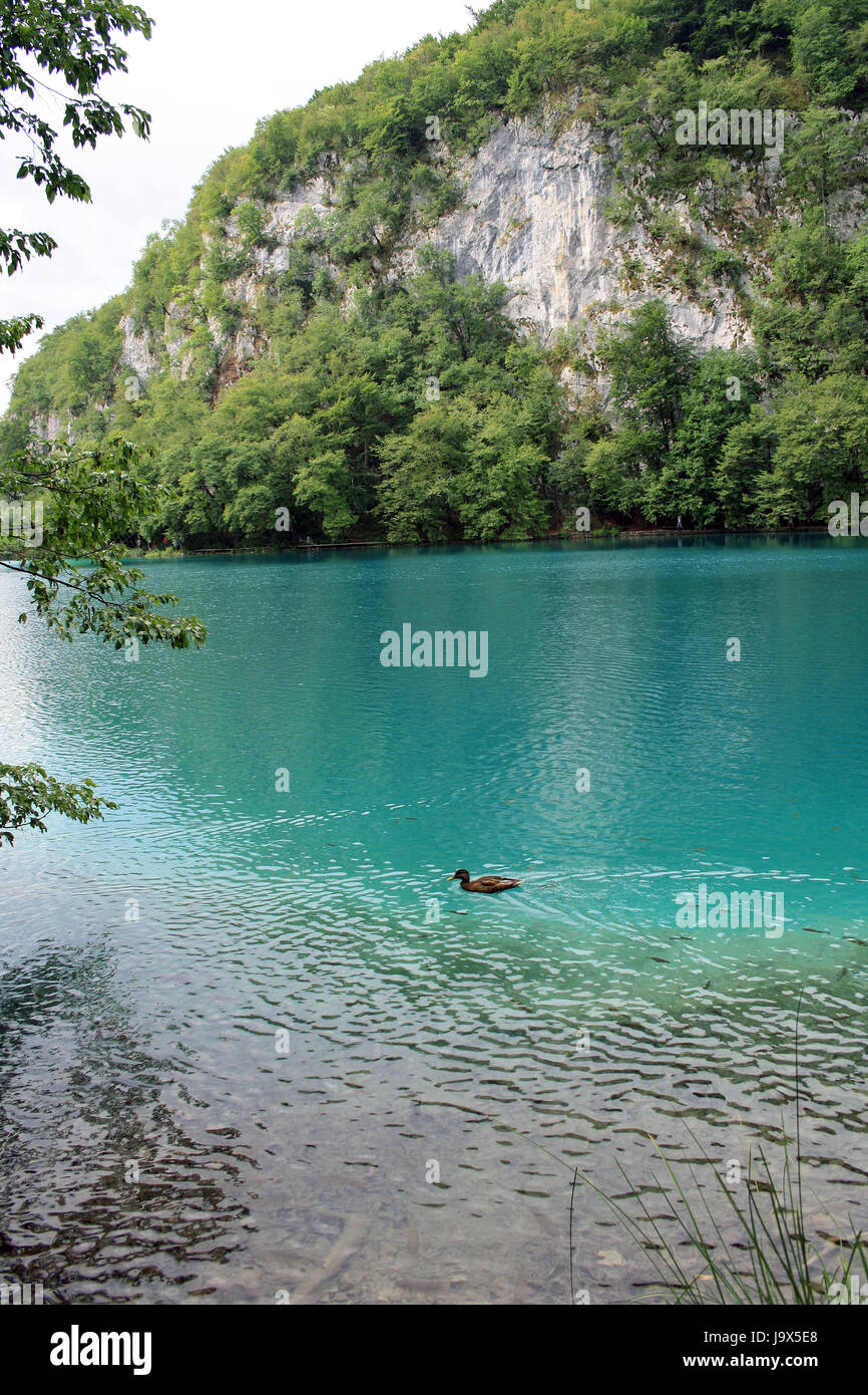 look, glancing, see, view, looking, peeking, looking at, look, glancing ...