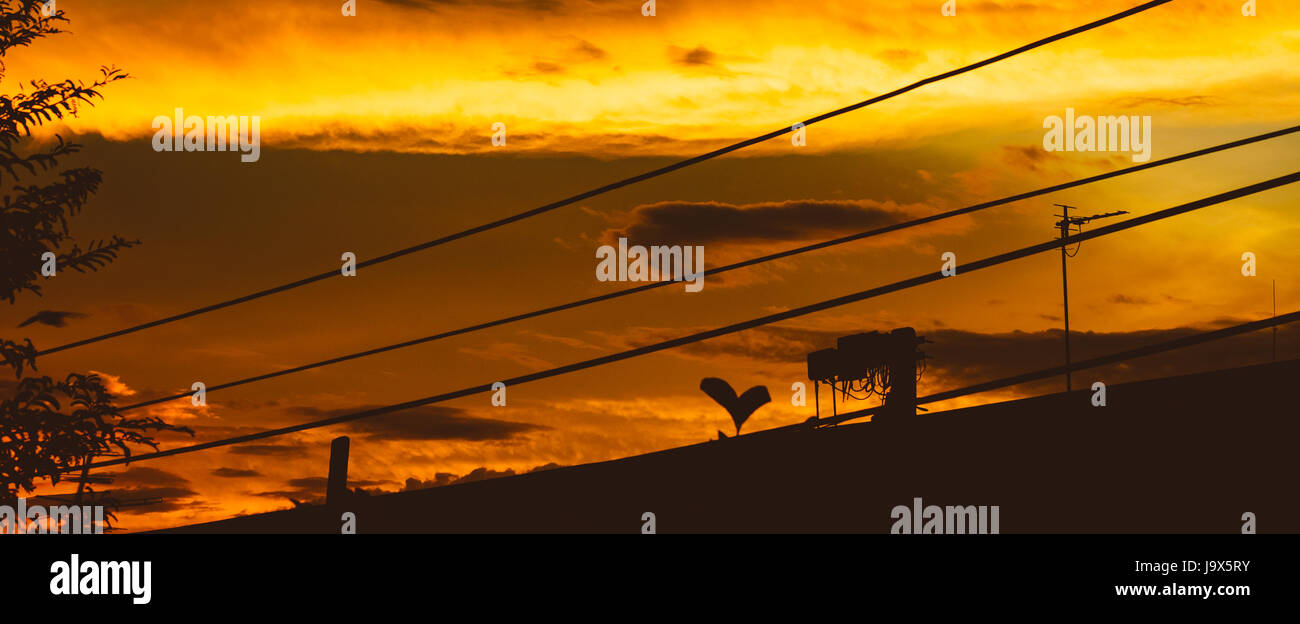 Golden hour sunset landscape Stock Photo - Alamy