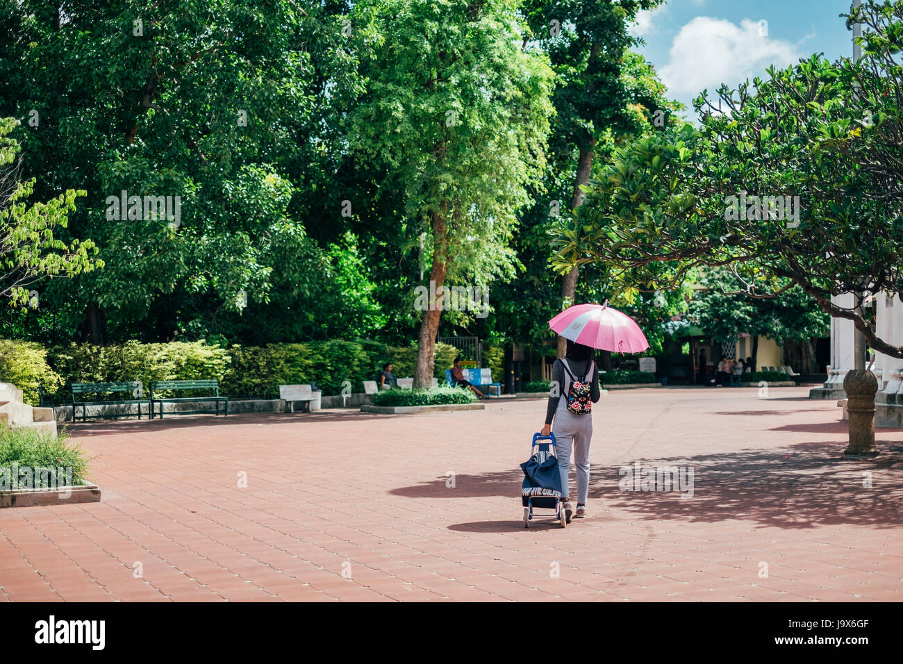 Open space in temple with green tree Stock Photo - Alamy