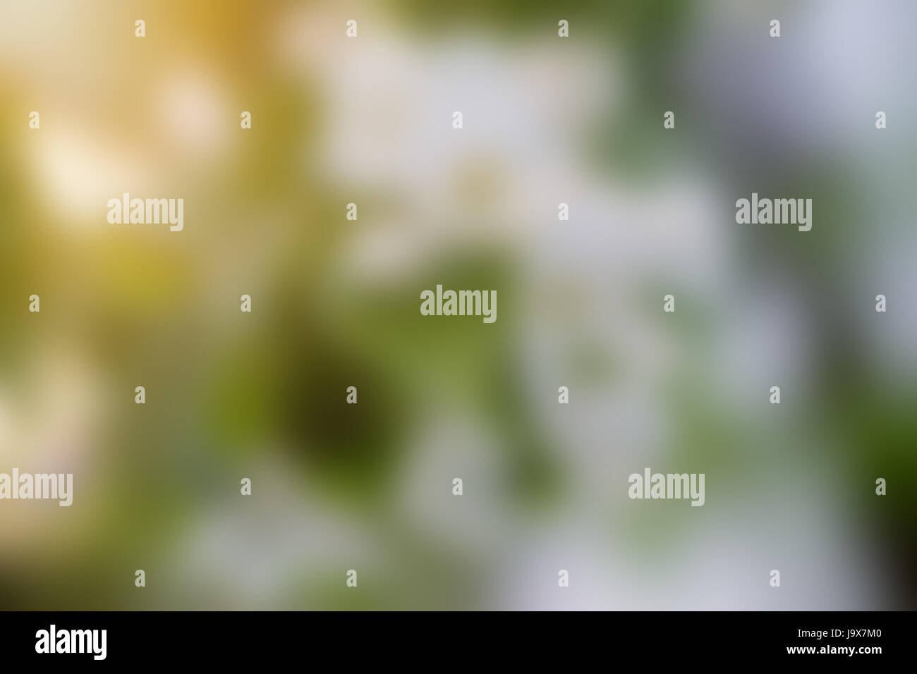 Blurred color background, blurred texture for your design. Nature Stock ...