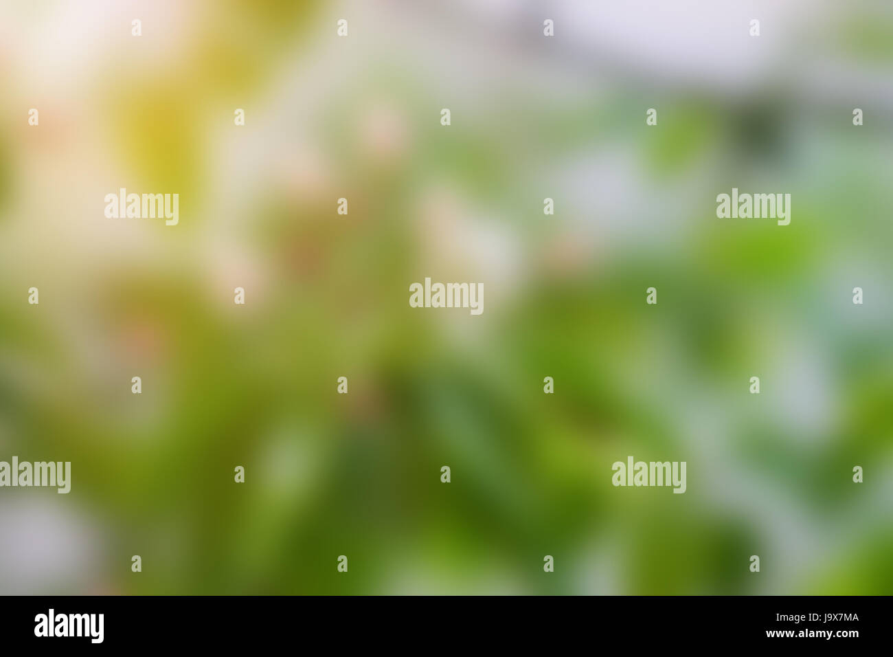 Blurred color background, blurred texture for your design. Nature Stock ...