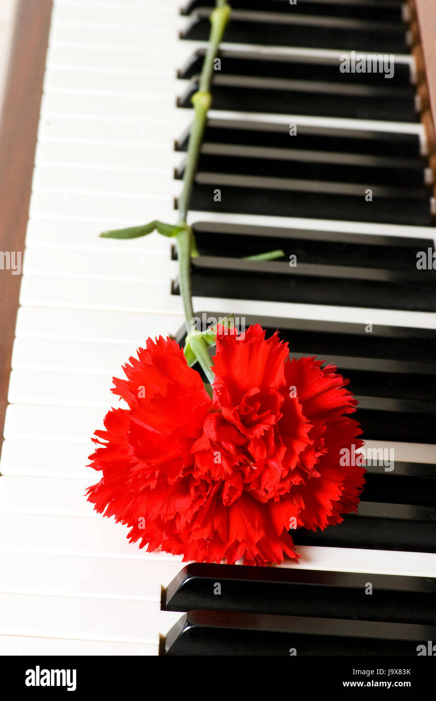 greeting, beautiful, beauteously, nice, leaf, music, art, musical ...