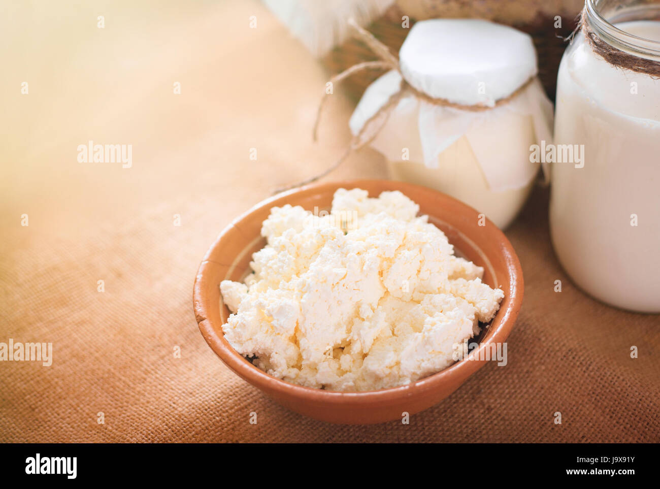 Still life of milk, cottage cheese and yogurt on the table. Farm cow ...