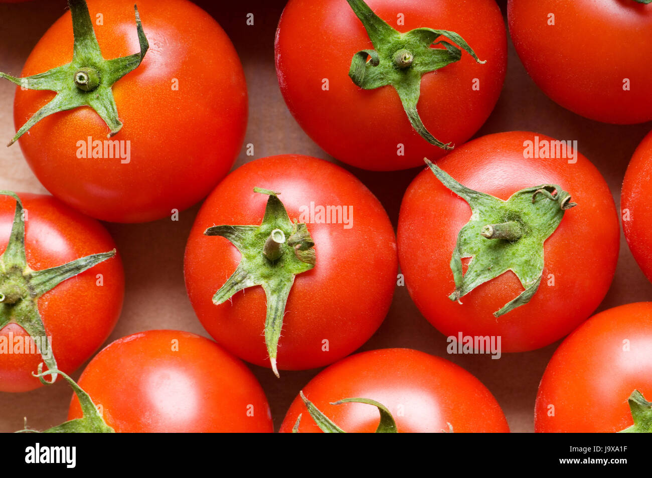 food, aliment, arrangement, model, design, project, concept, plan ...