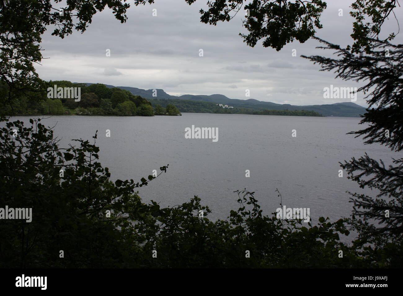 Sligo Kilkenny forest that was affected in the Sligo forest fires in ...