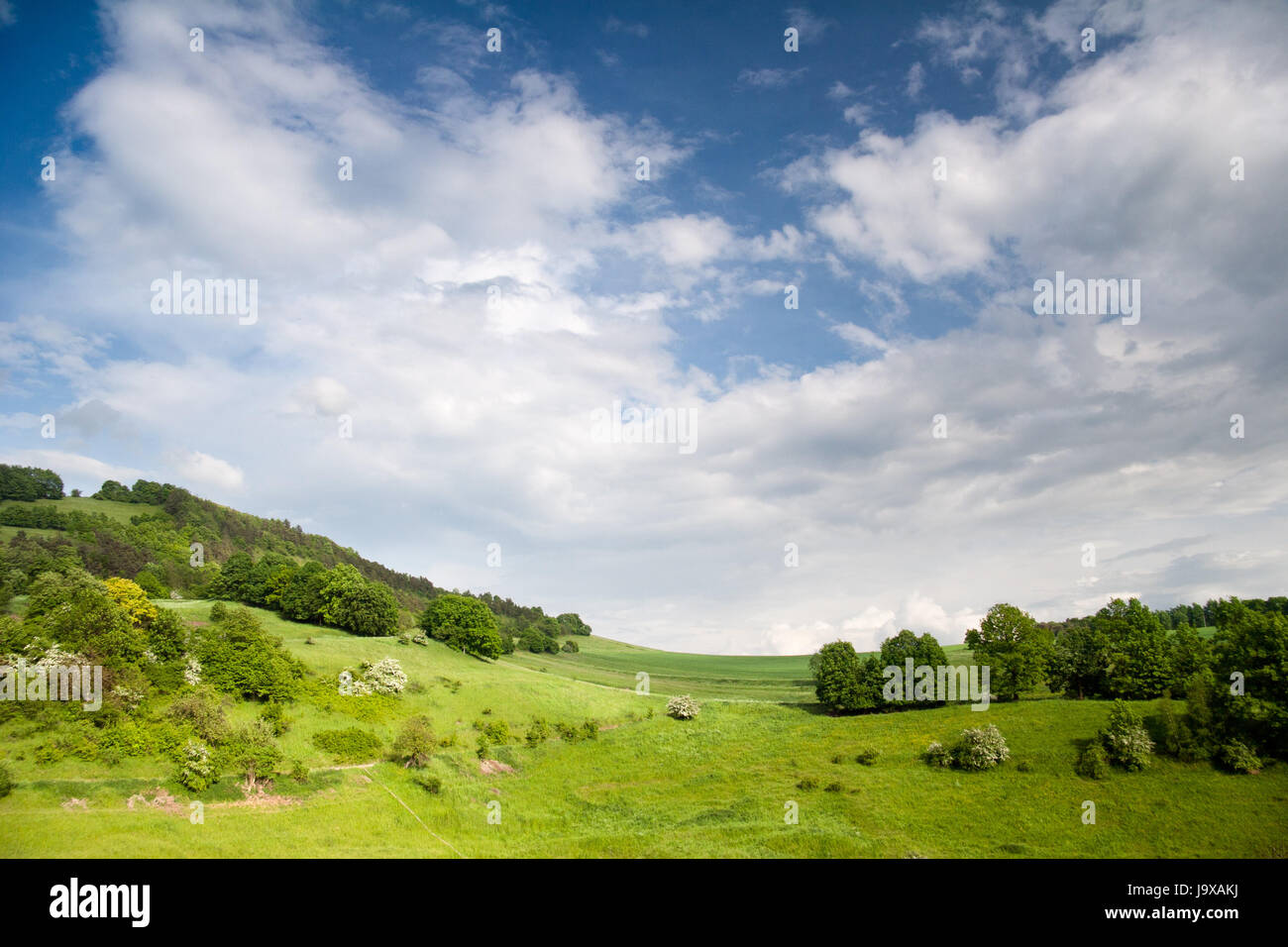 mountains, field, summer, summerly, thuringia, meadow, mountain ...