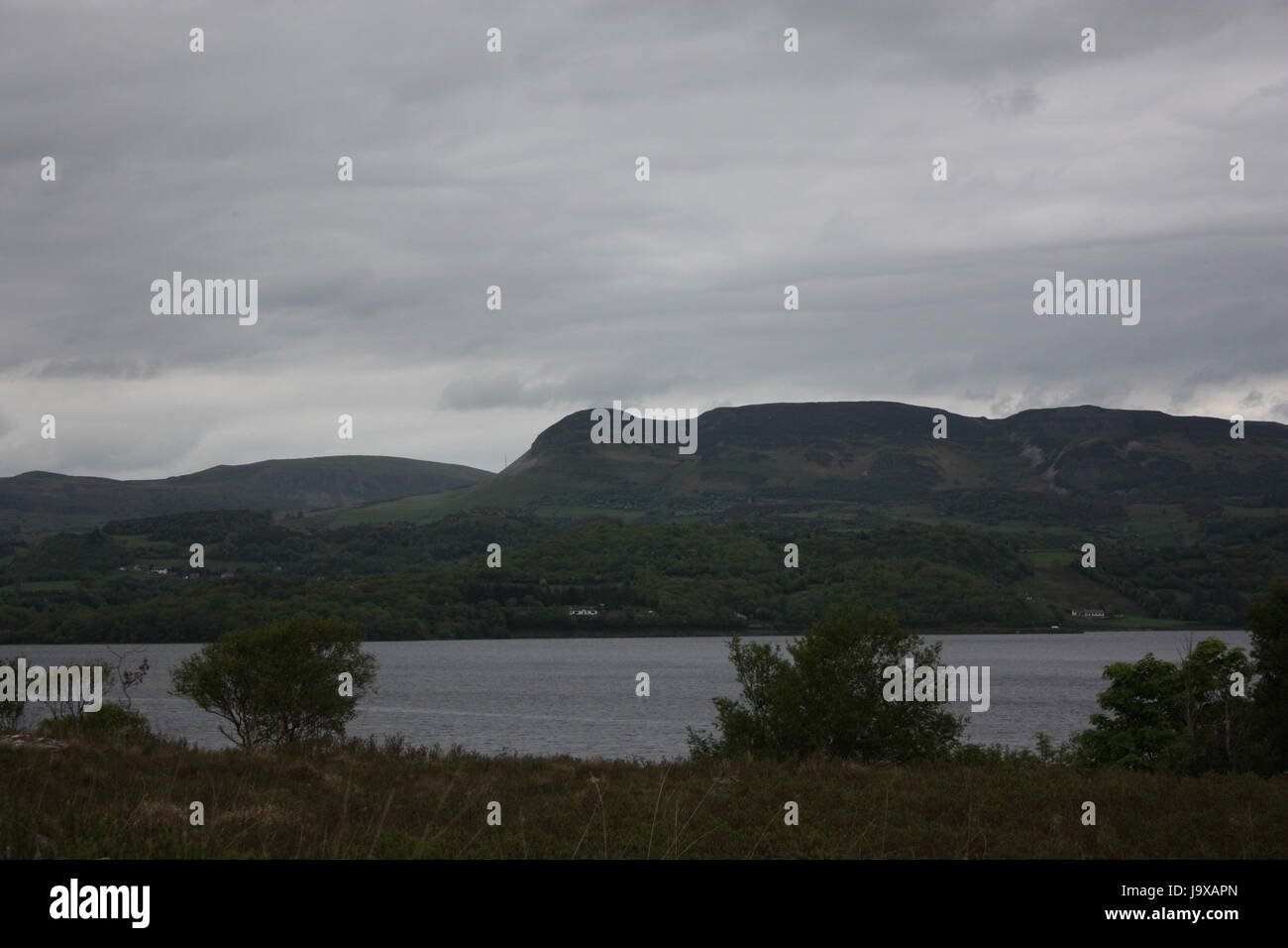 Ireland forest fires hi-res stock photography and images - Alamy