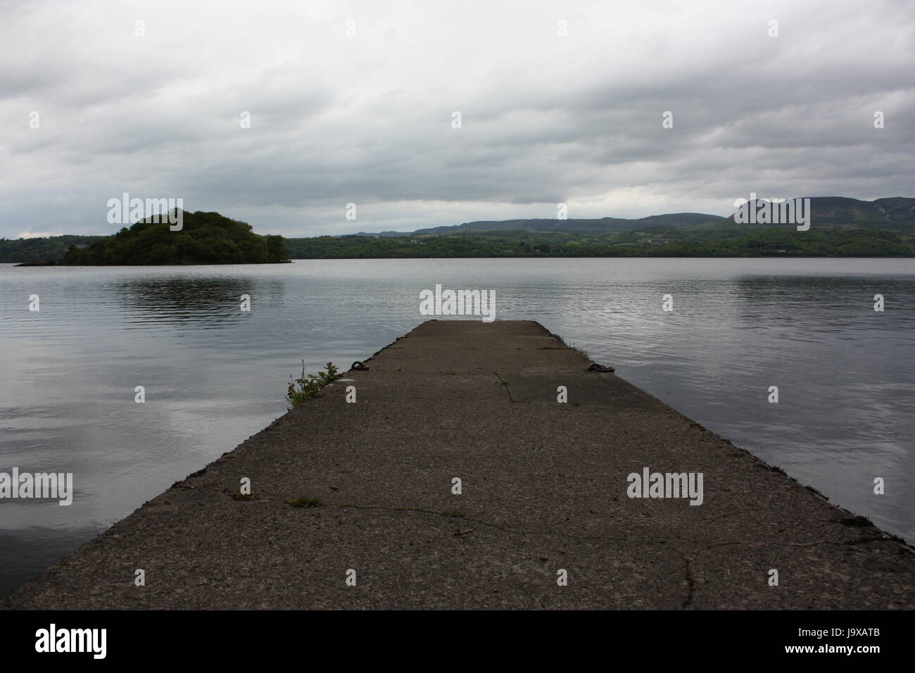 Sligo Kilkenny forest that was affected in the Sligo forest fires in ...