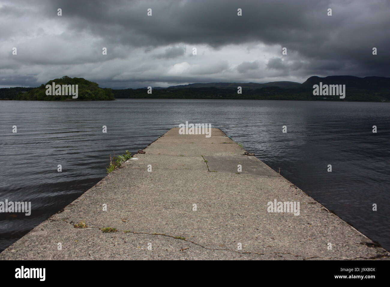 Sligo Kilkenny forest that was affected in the Sligo forest fires in ...