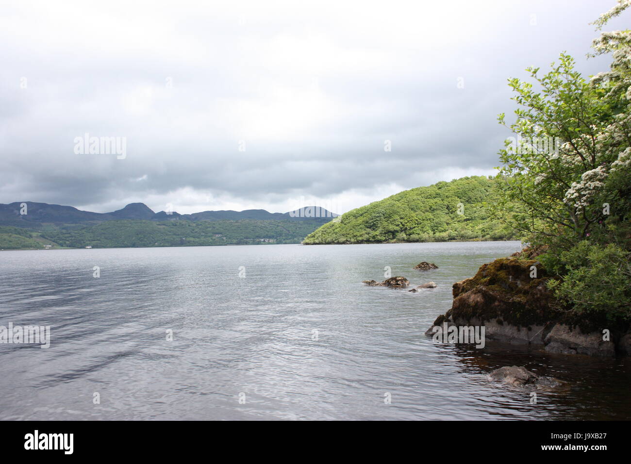 Sligo Kilkenny forest that was affected in the Sligo forest fires in ...