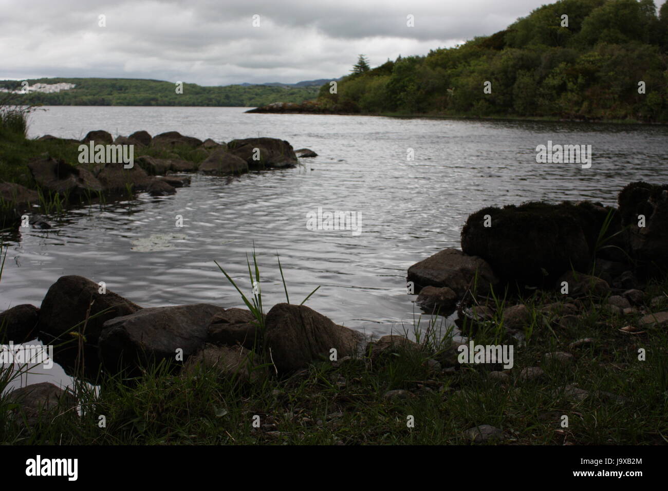 Sligo Kilkenny forest that was affected in the Sligo forest fires in ...