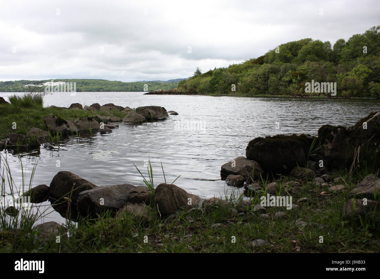 Rain forest walks hi-res stock photography and images - Alamy