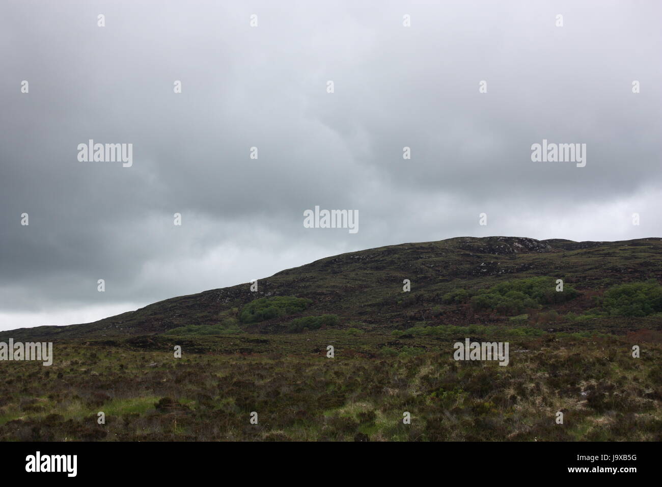 Sligo Kilkenny forest that was affected in the Sligo forest fires in ...