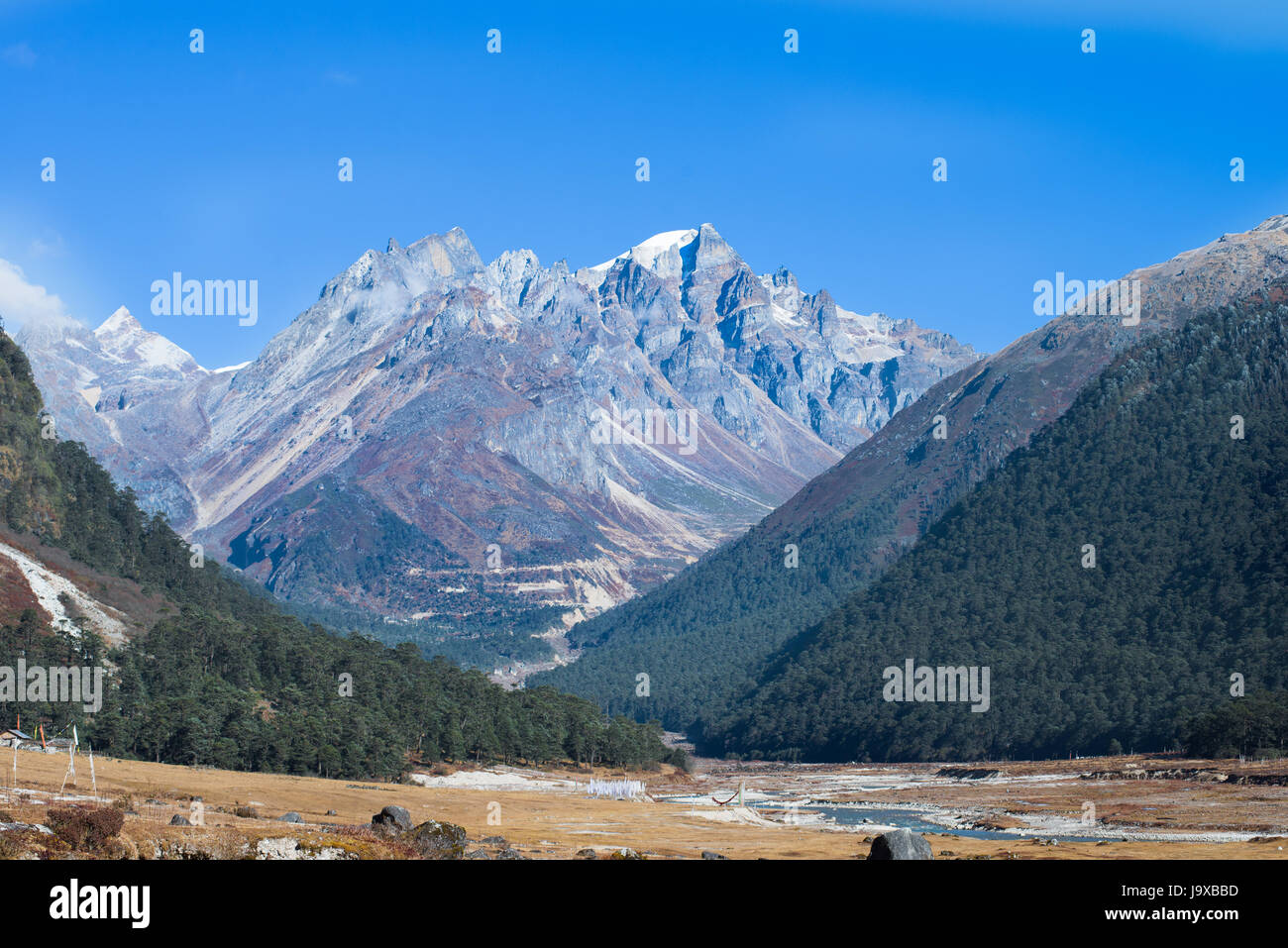 Yumthang valley hi-res stock photography and images - Alamy