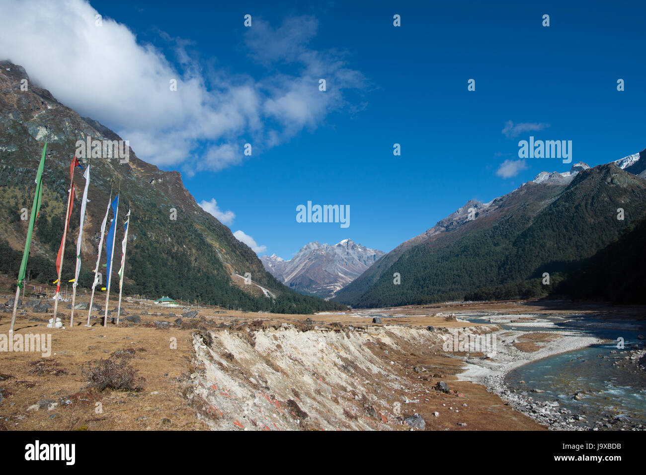 Yumthang sikkim hi-res stock photography and images - Alamy