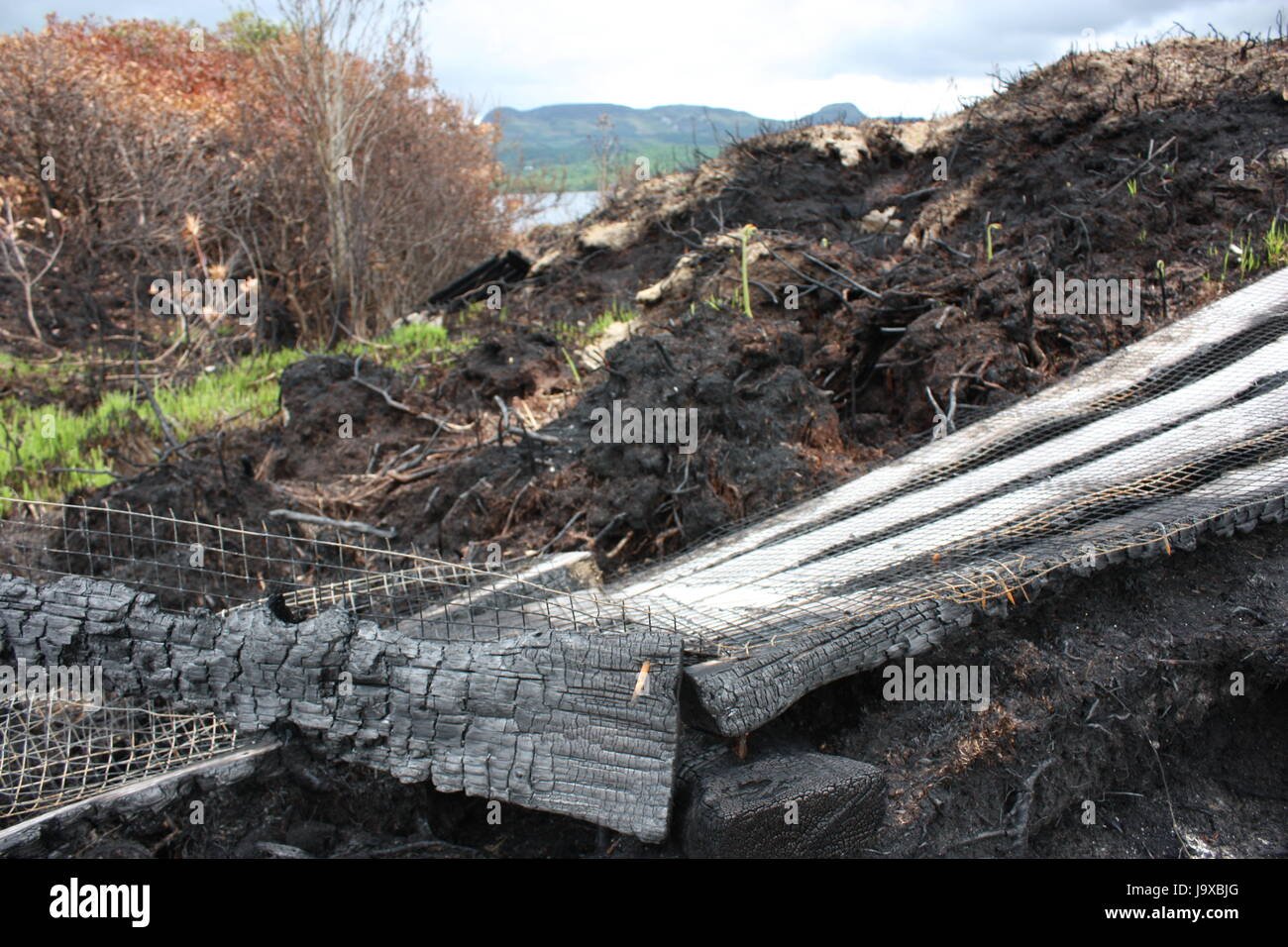 Ireland forest fires hi-res stock photography and images - Alamy
