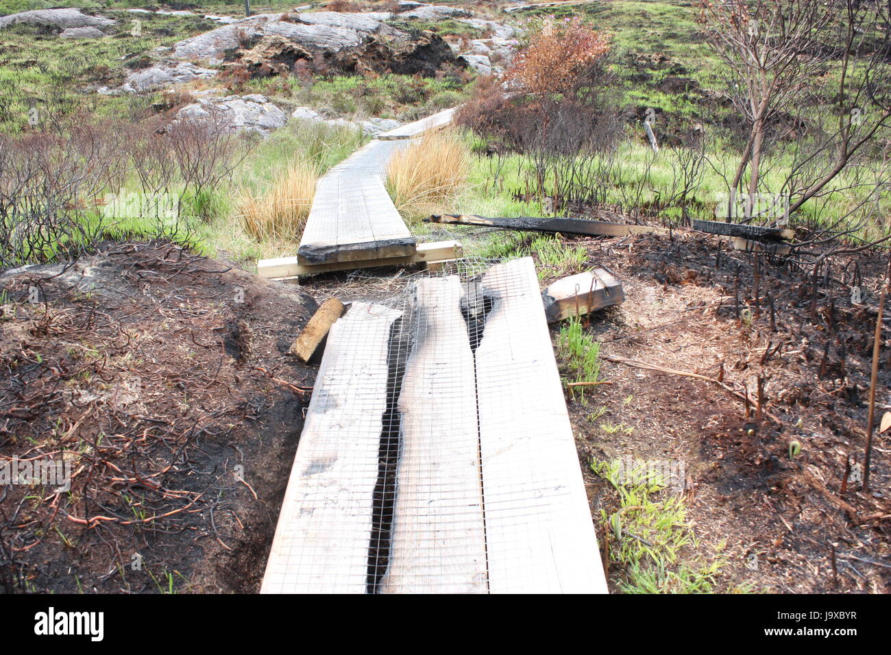 Ireland forest fires hi-res stock photography and images - Alamy