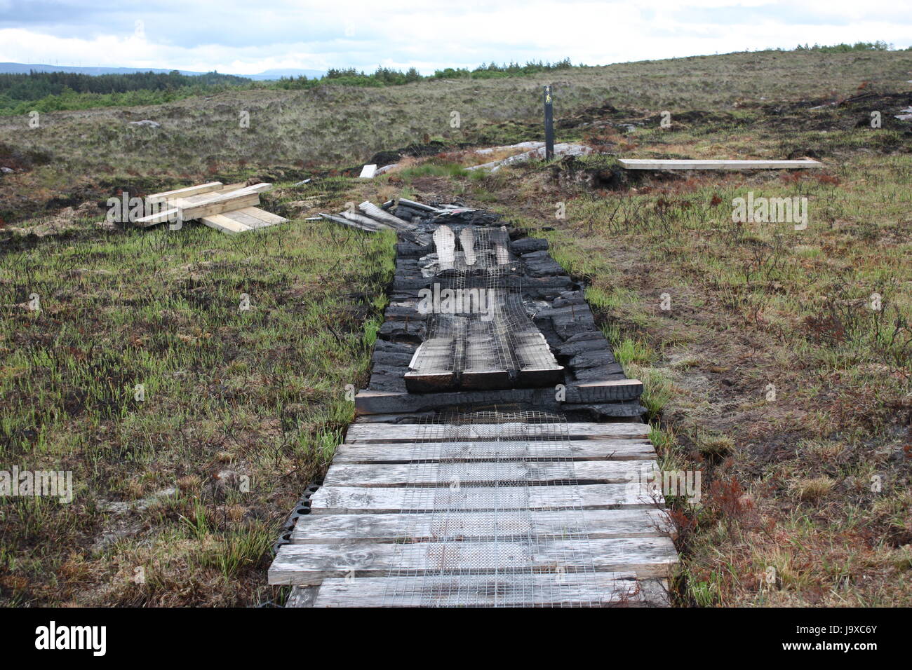 Sligo (Kilkenny) burnt woodland after the forest fire Stock Photo - Alamy
