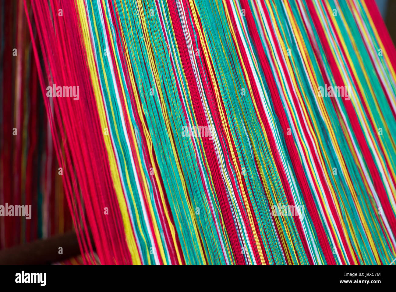 Sikkim loom hi-res stock photography and images - Alamy