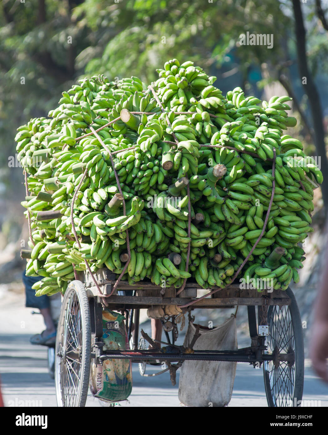 Transport of produce in Siliguri, India Stock Photo - Alamy