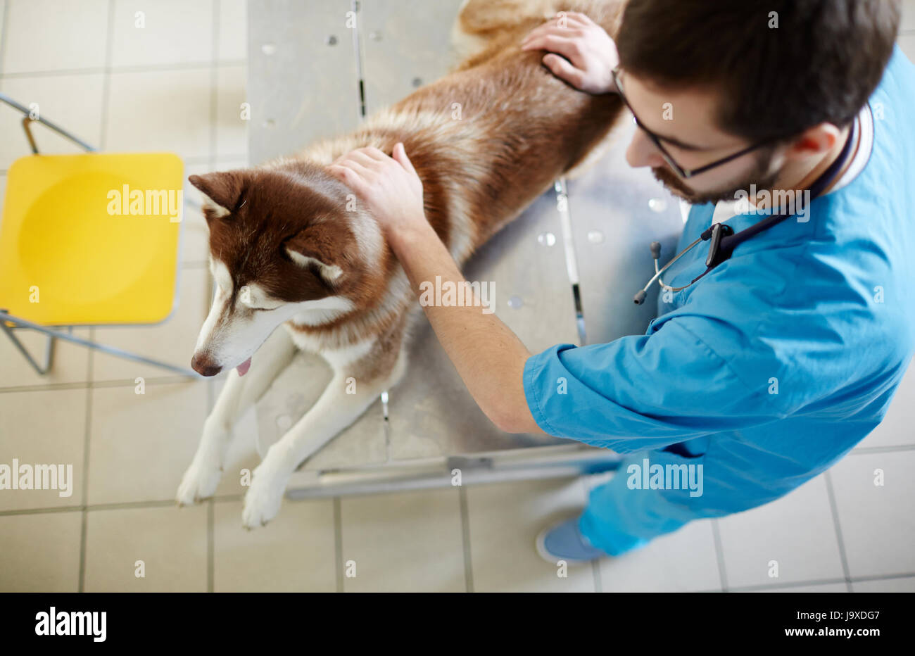 Hands on your back hi-res stock photography and images - Alamy