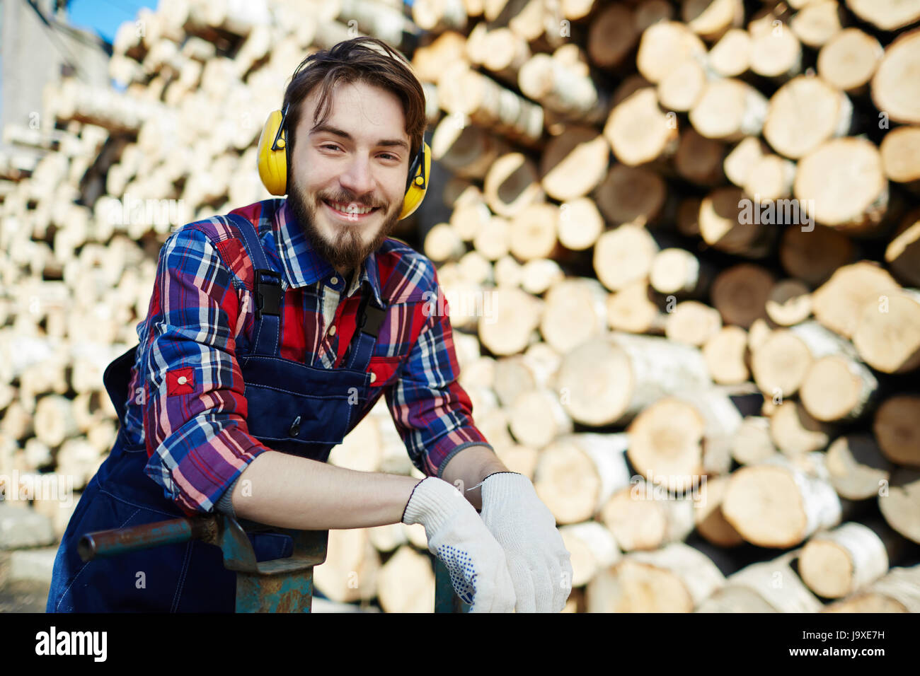 Tree service hi-res stock photography and images - Alamy