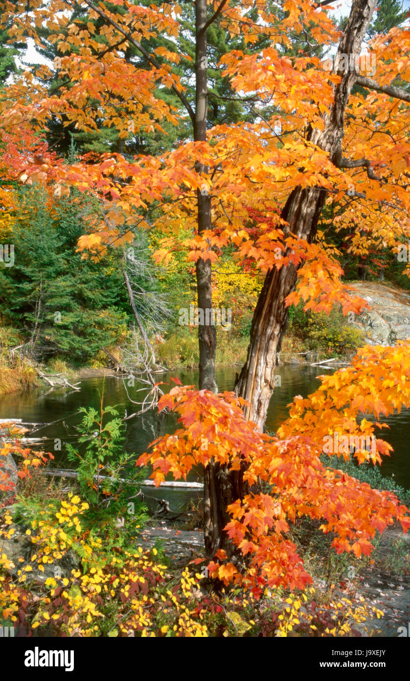 Blind river hi-res stock photography and images - Alamy