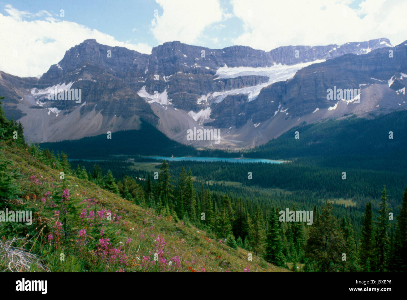 Crowfoot Glacier, Banff National Park, Alberta, Canada 7 12 Stock Photo ...
