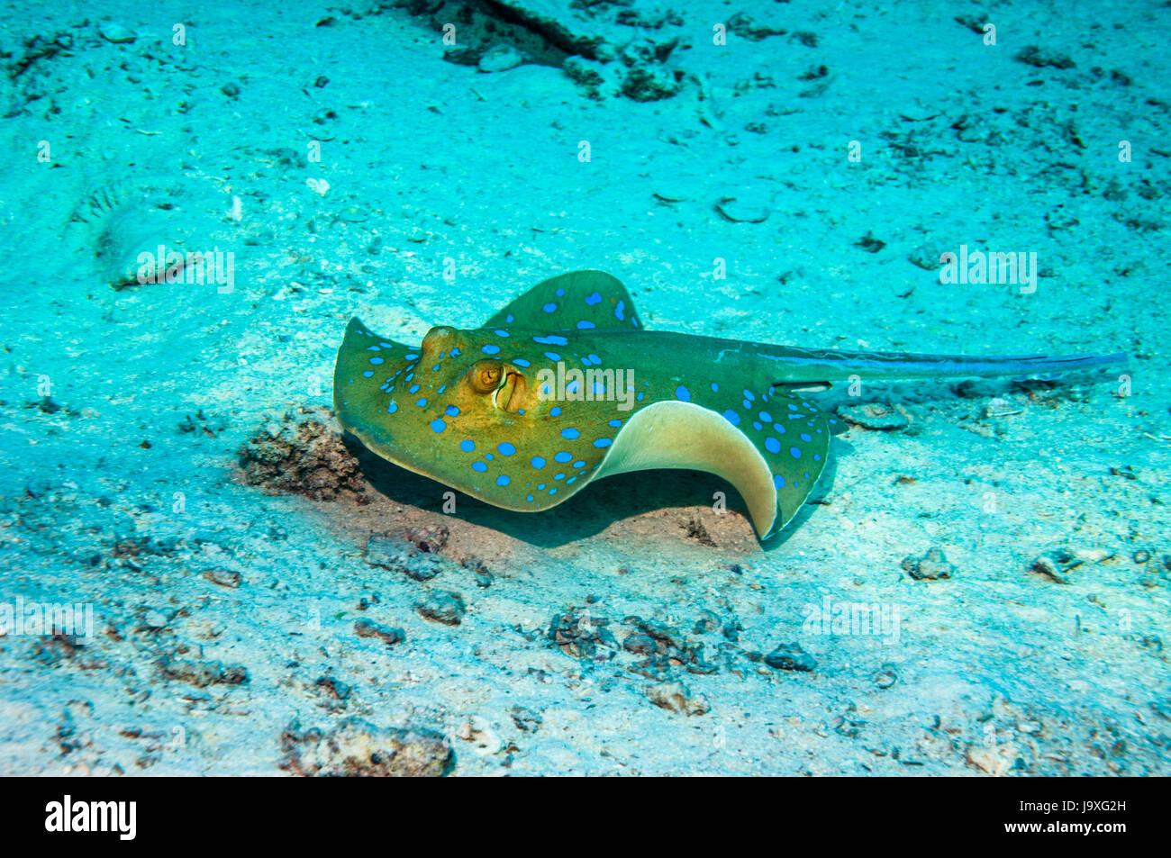 East egypt color colour colour hi-res stock photography and images - Alamy