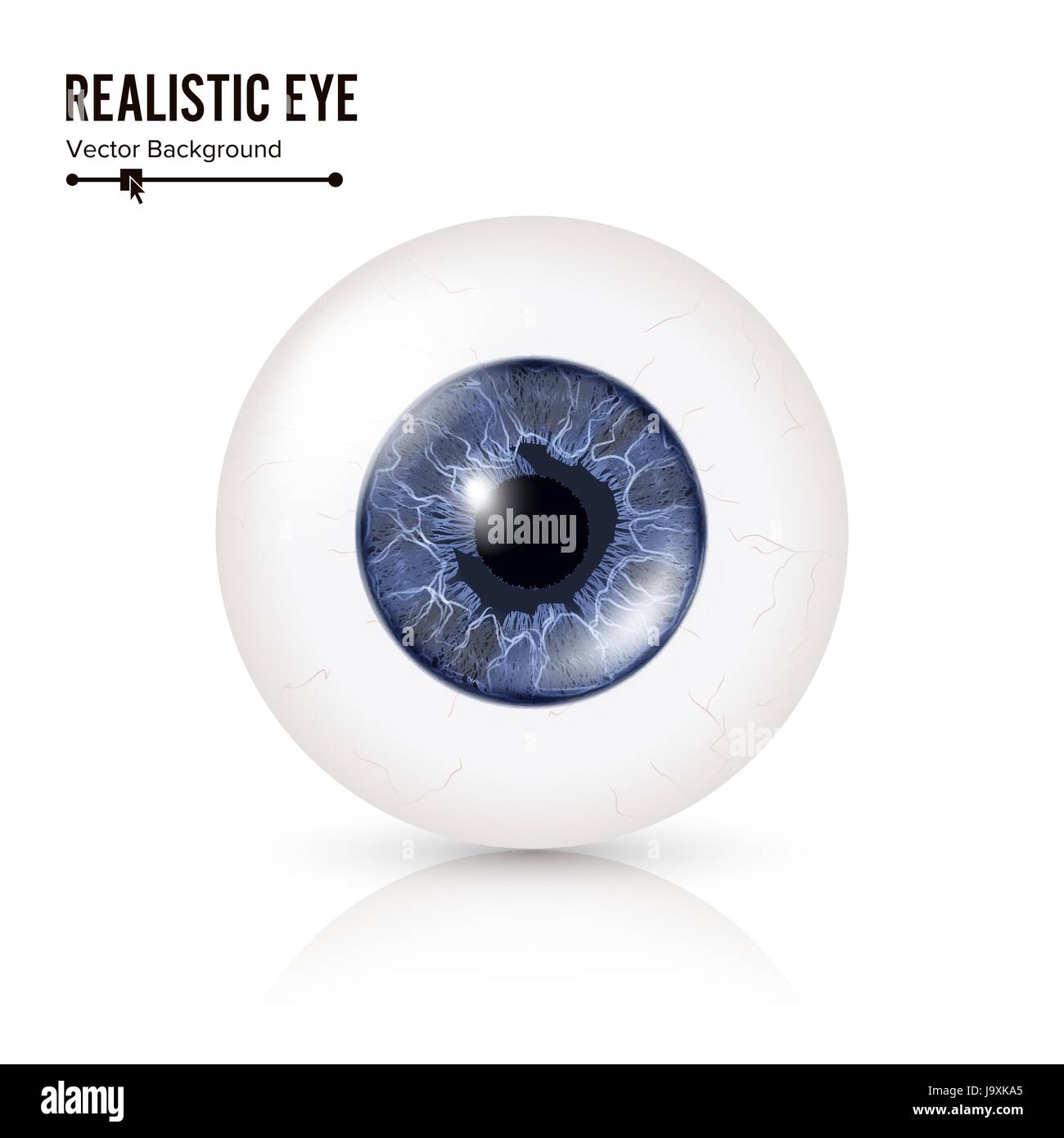 Realistic Human Eyeball. 3d Glossy Photorealistic Eye Detail With ...