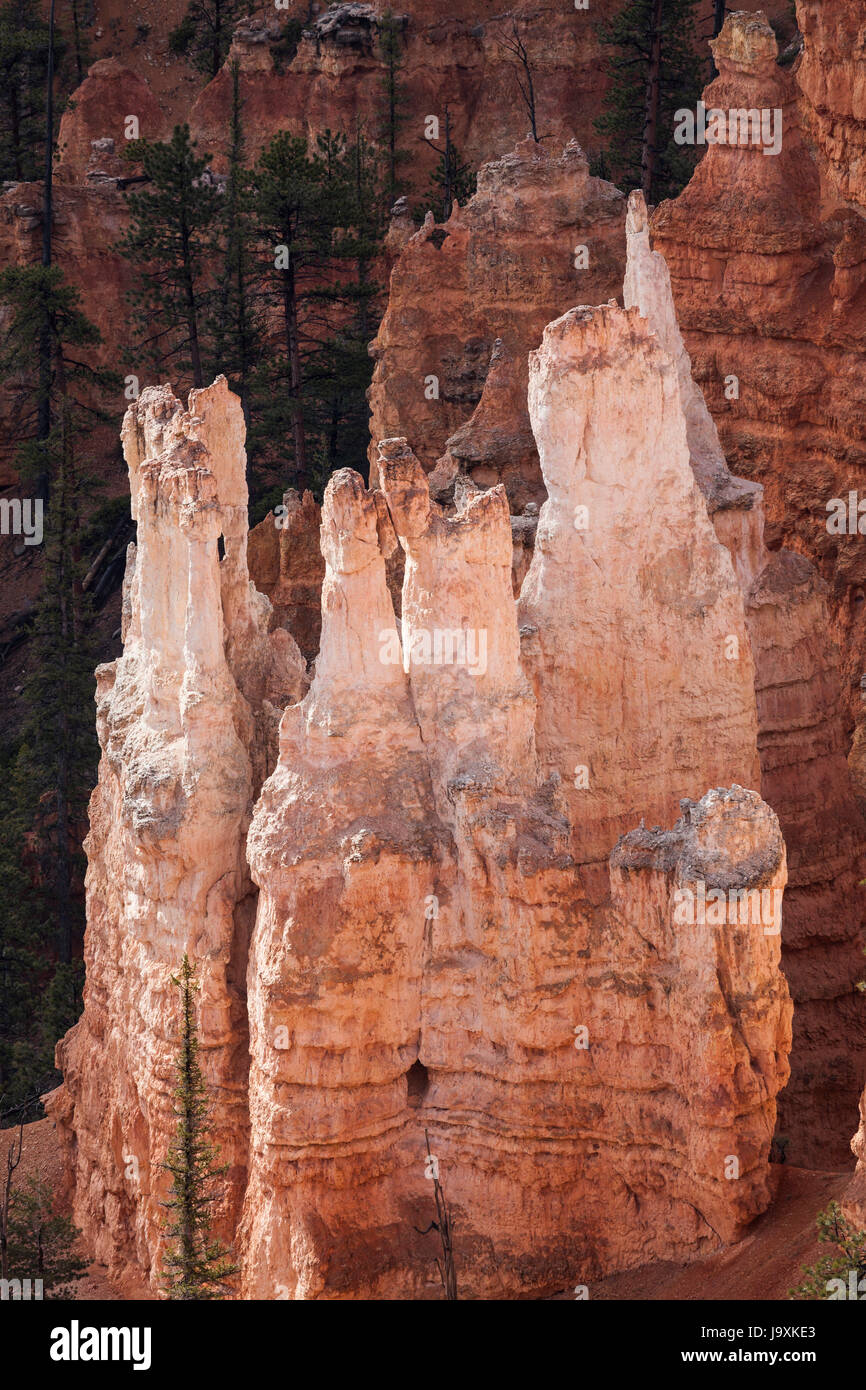 usa, stone, national park, usa, rock, america, outdoor, erosion ...
