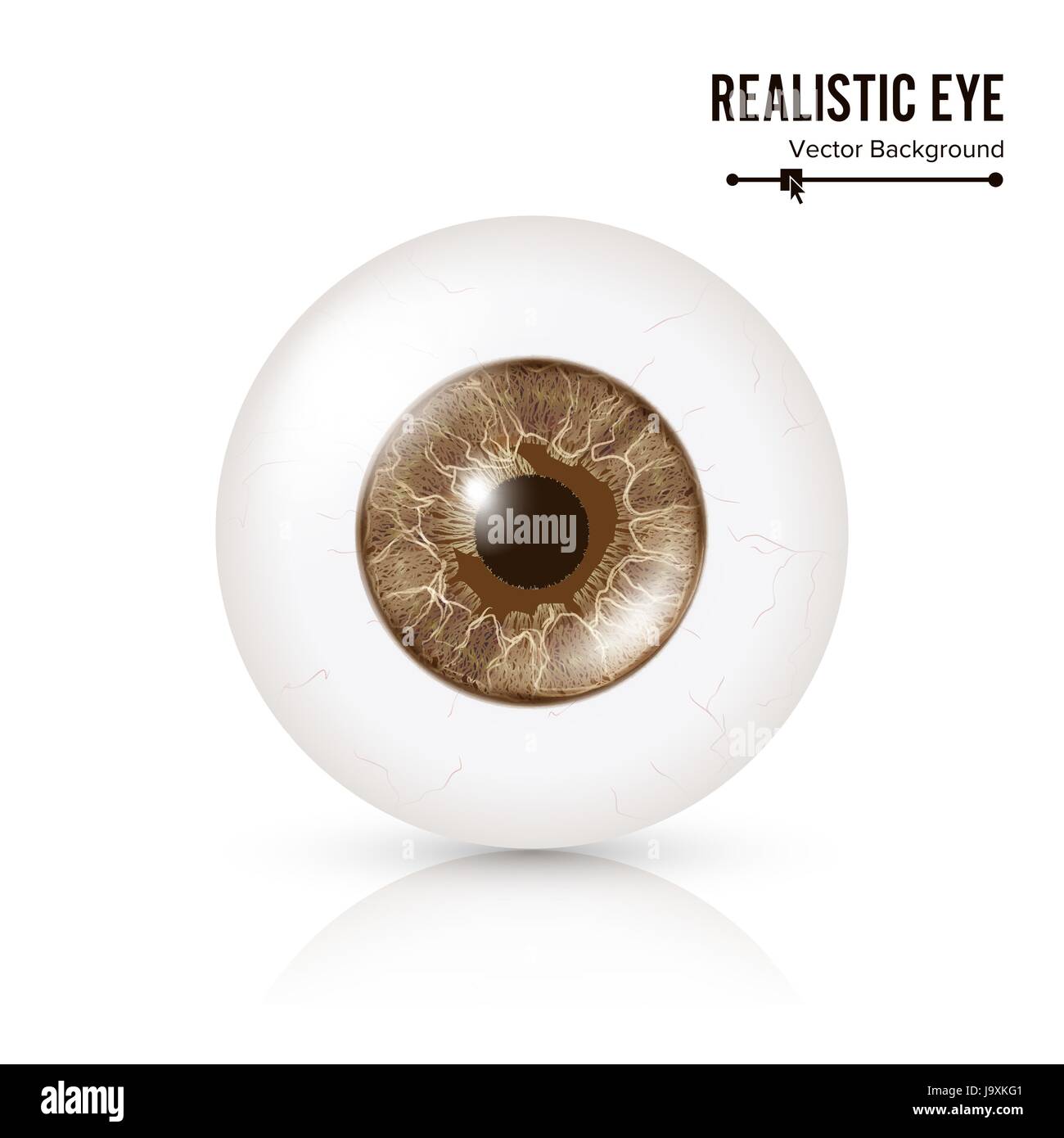 Front view three colorful Stock Vector Images - Alamy