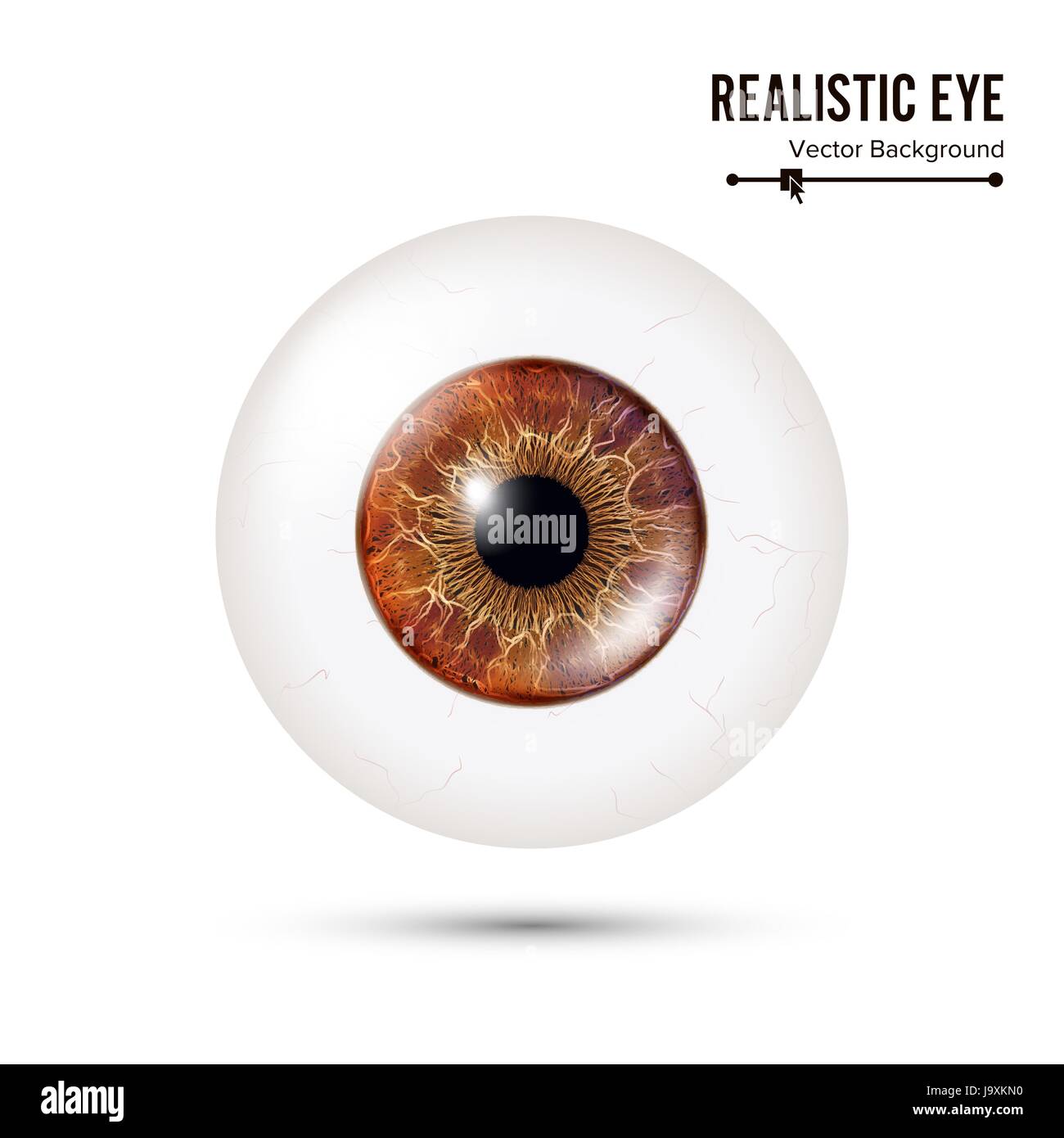 Photo Realistic Eyeball. Human Retina. Vector Illustration Of 3d Human ...