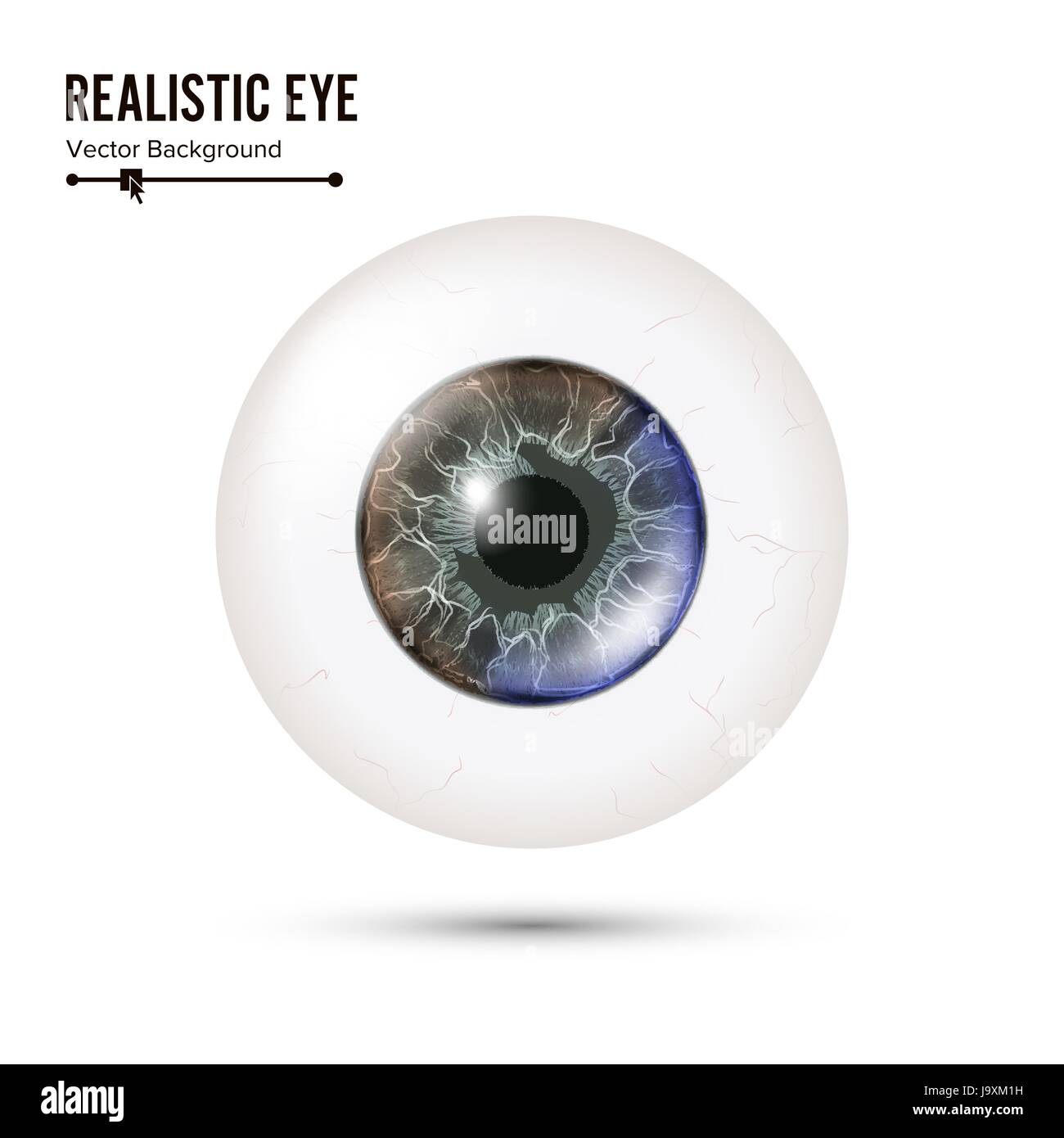Eye Realistic. Vector Illustration Of 3d Human Glossy Photo Rrealistic ...