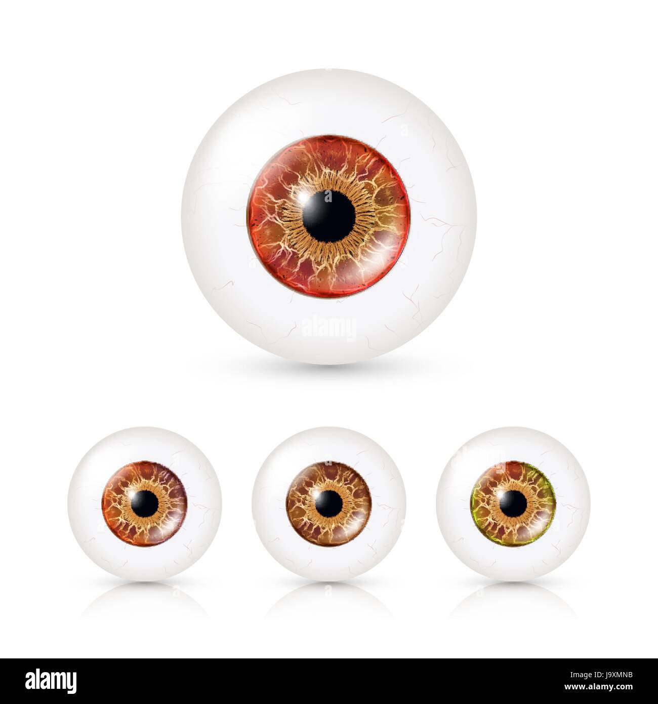 Human Eyeballs Set With Big Irises In Colour. Vector Illustration Of 3d ...