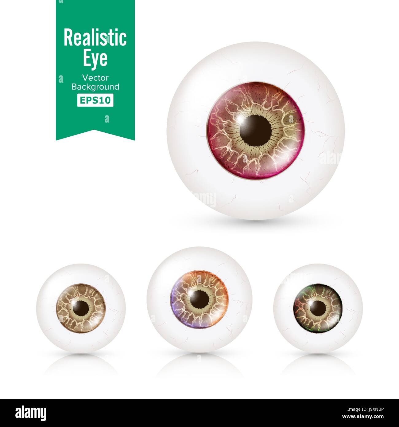 Human Eyeballs Set With Big Irises In Colour. Vector Illustration Of 3d ...