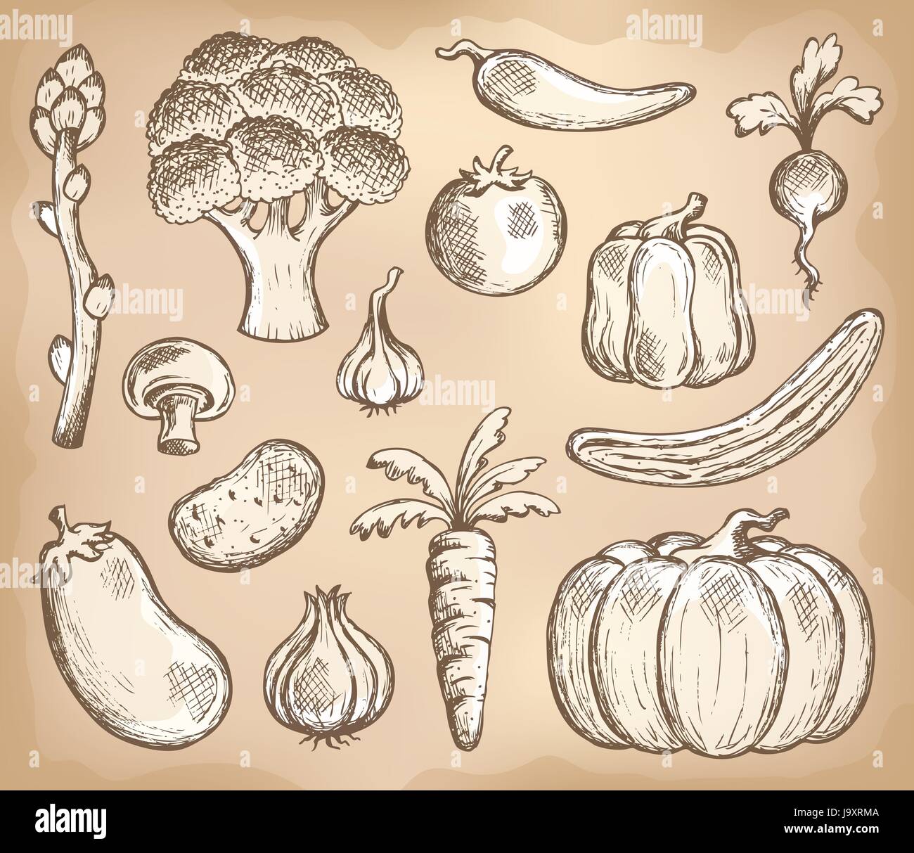 Draw cucumber vegetable nutrition hi-res stock photography and images ...