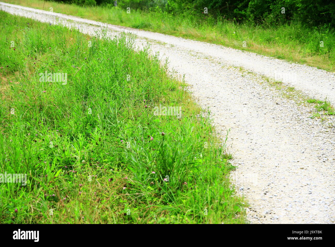 walk, go, going, walking, hike, go hiking, ramble, pavement, nordic ...