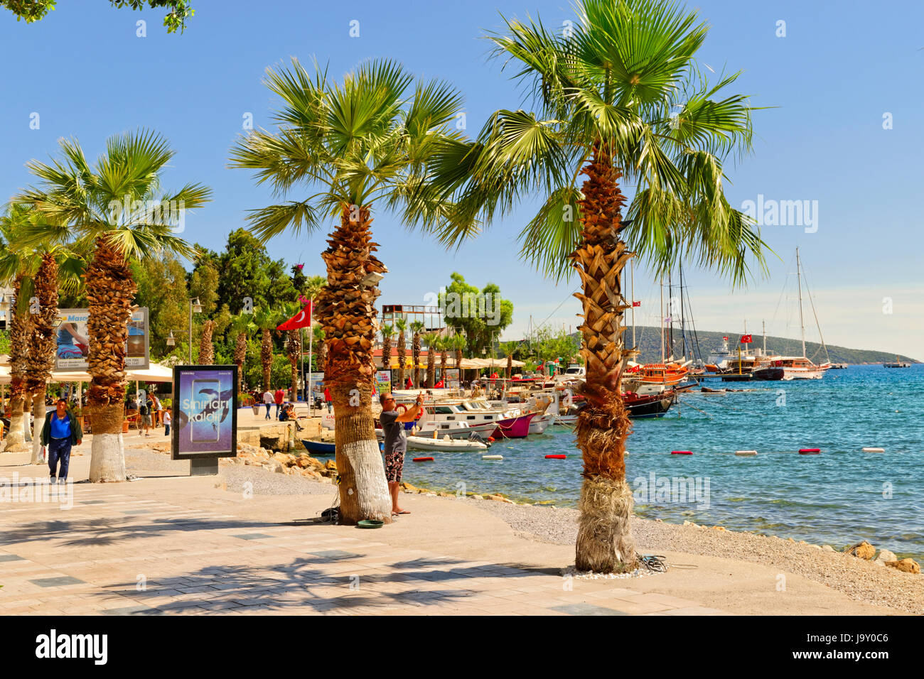 Bodrum Bar Street High Resolution Stock Photography and Images - Alamy